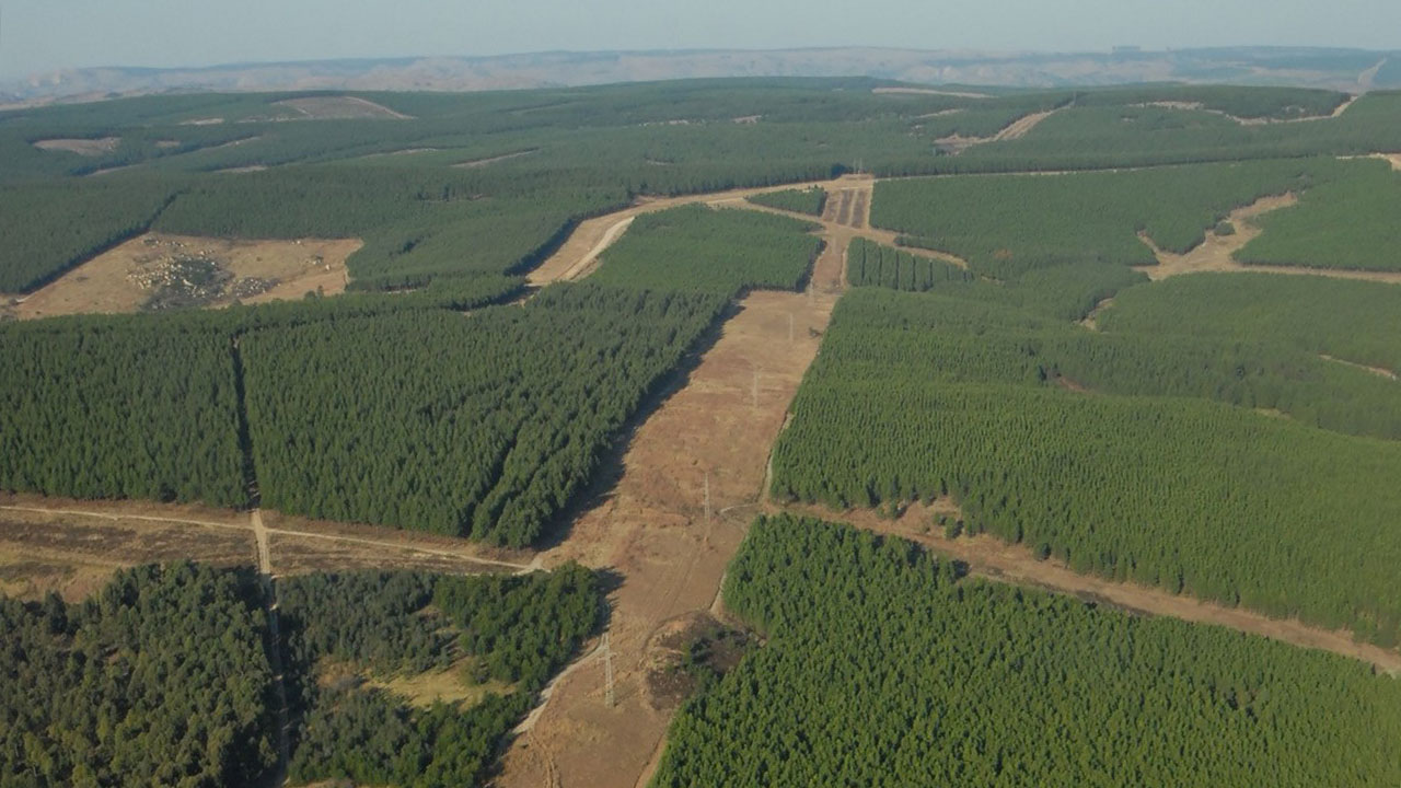 Firebreaks Working On Fire
